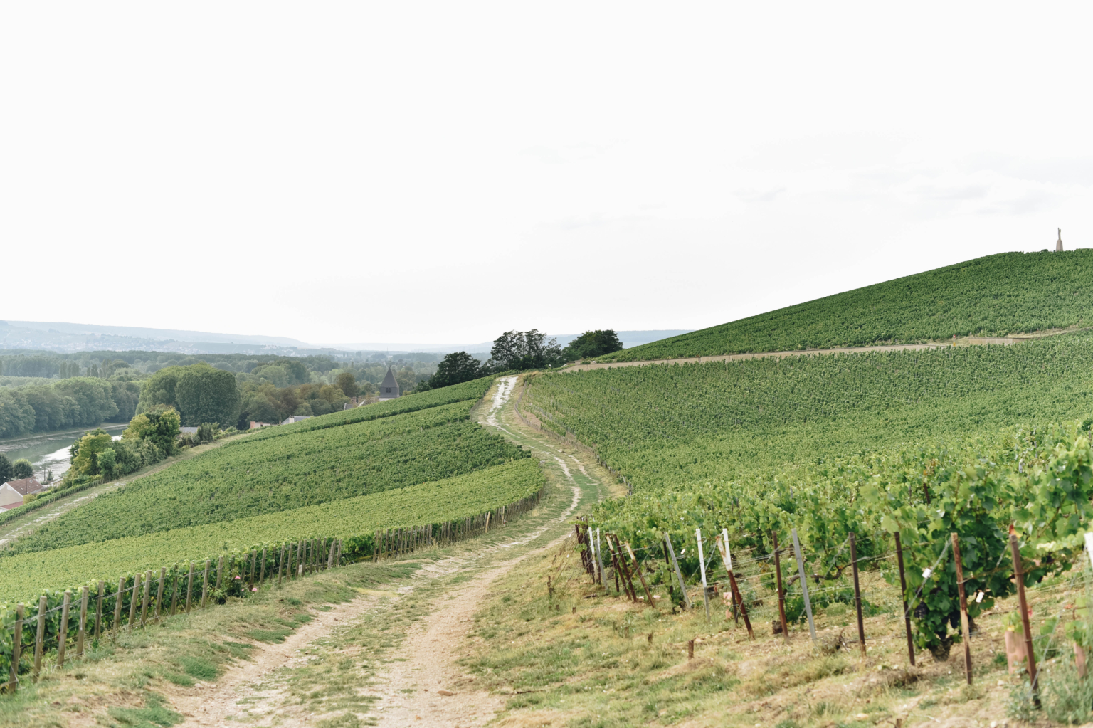 A Romantic Guide to Champagne - The Wedding Edition