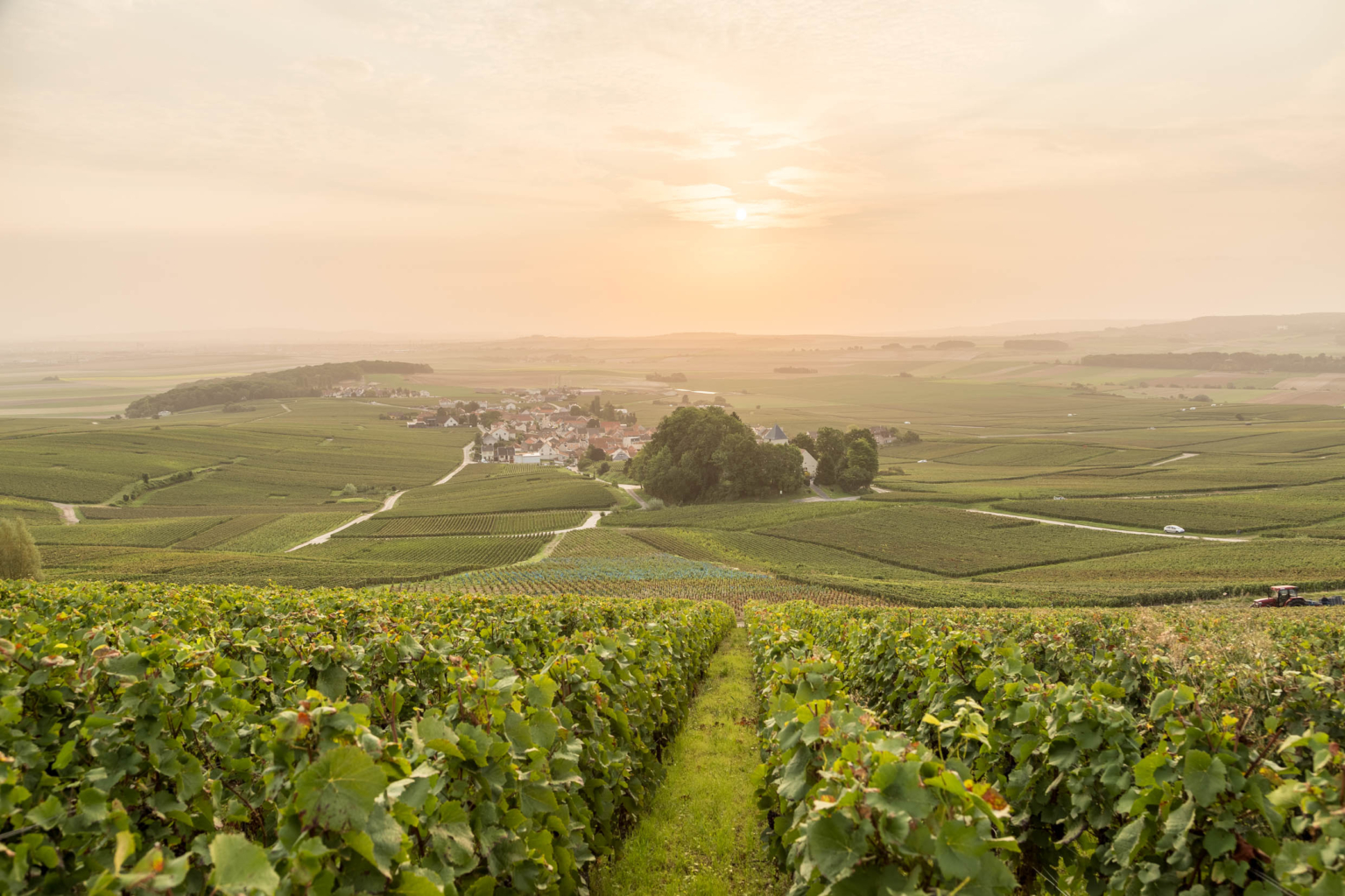 A Romantic Guide to Champagne - The Wedding Edition