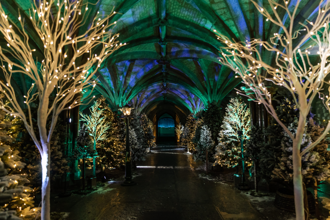 How To Style An Unforgettable Reception With Twilight Trees - The ...