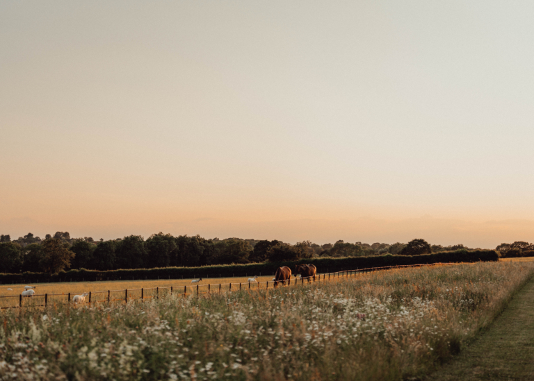Venue Review: Crockwell Farm - The Wedding Edition